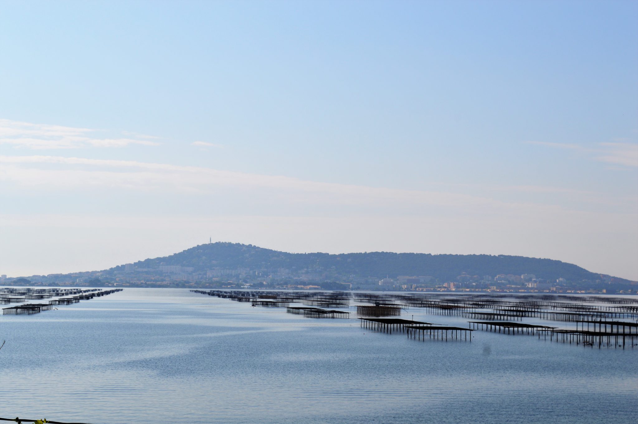 La lagune de Thau entre terre et mer